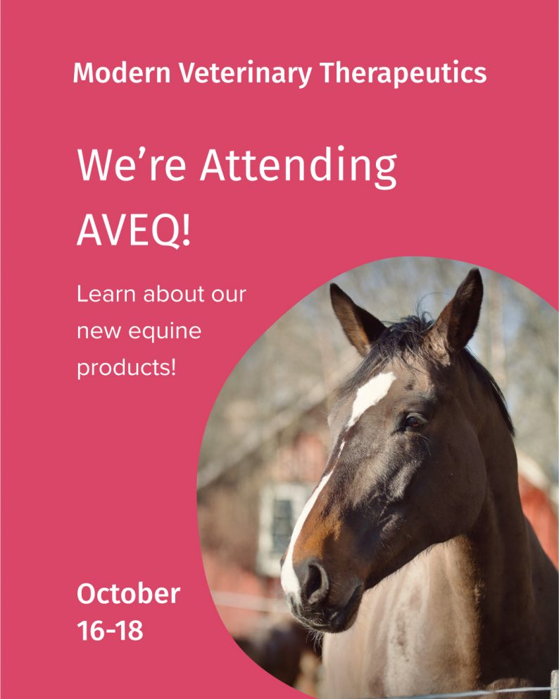 AVEQ – L’Association des vétérinaires équins du Québec - Modern ...