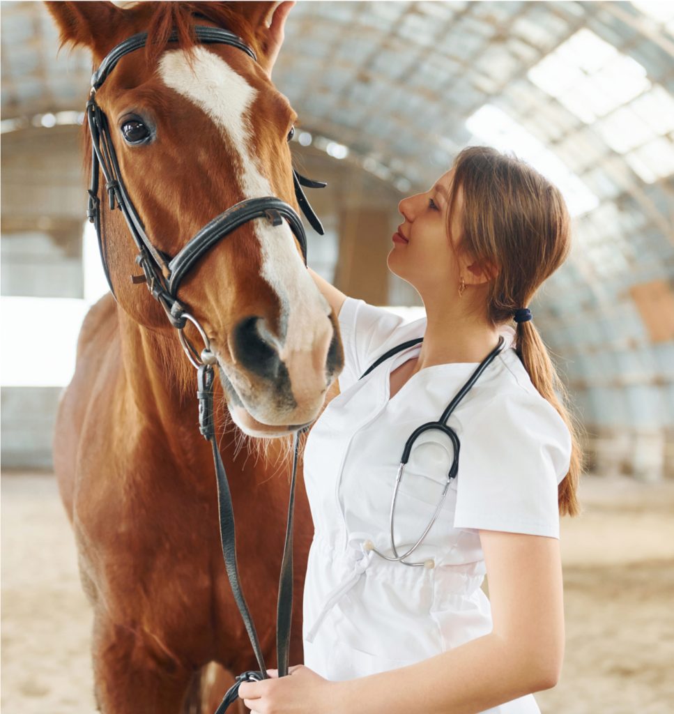 Hemophyt - Vitamin K1 Tablets for Anticoagulant Rodenticide Poisoning