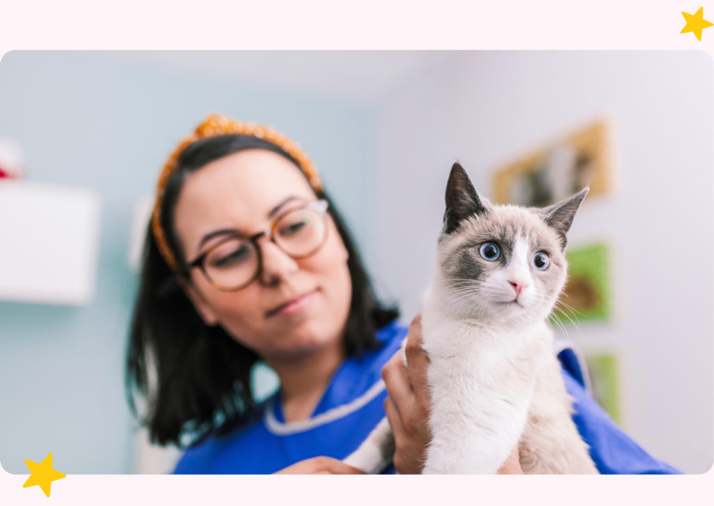 Modern Veterinary Therapeutics - For Veterinarians