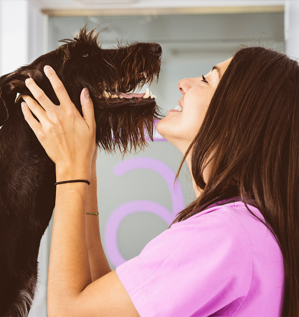 About Us - Modern Veterinary Therapeutics